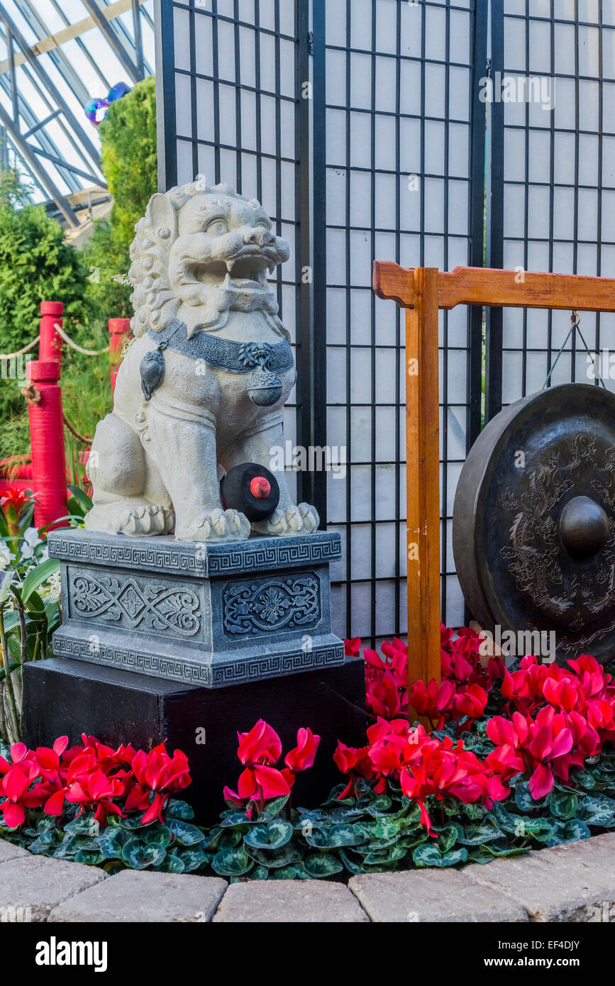 Chinese gong hi-res stock photography and images - Alamy