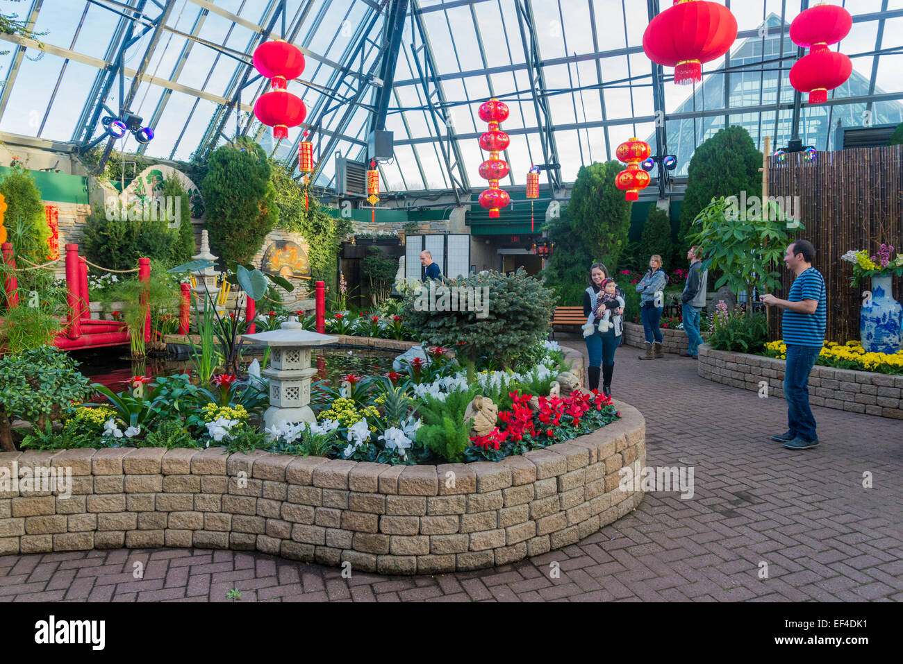 Chinese lanterns garden hi-res stock photography and images - Alamy