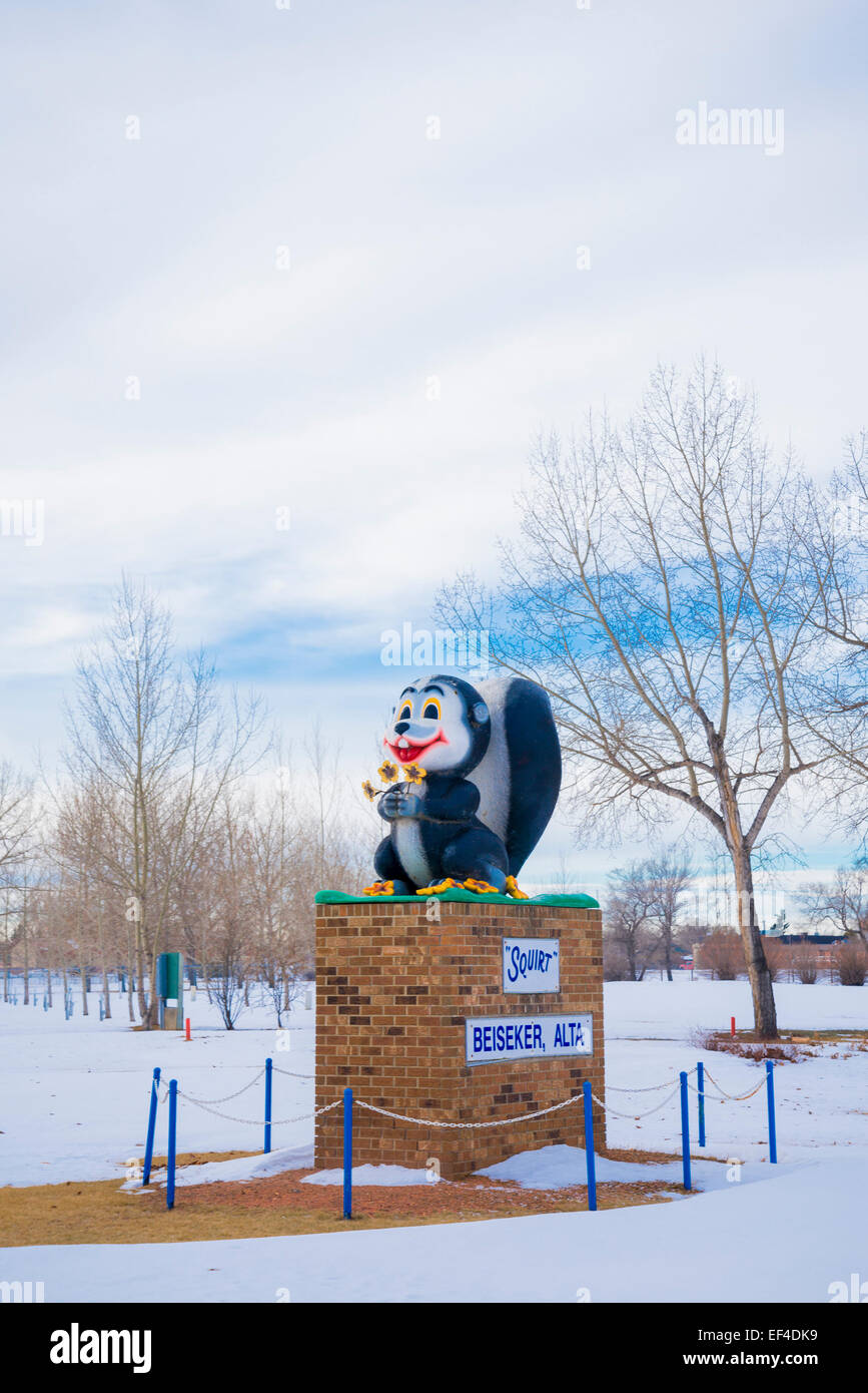 Skunk canada hi-res stock photography and images - Alamy