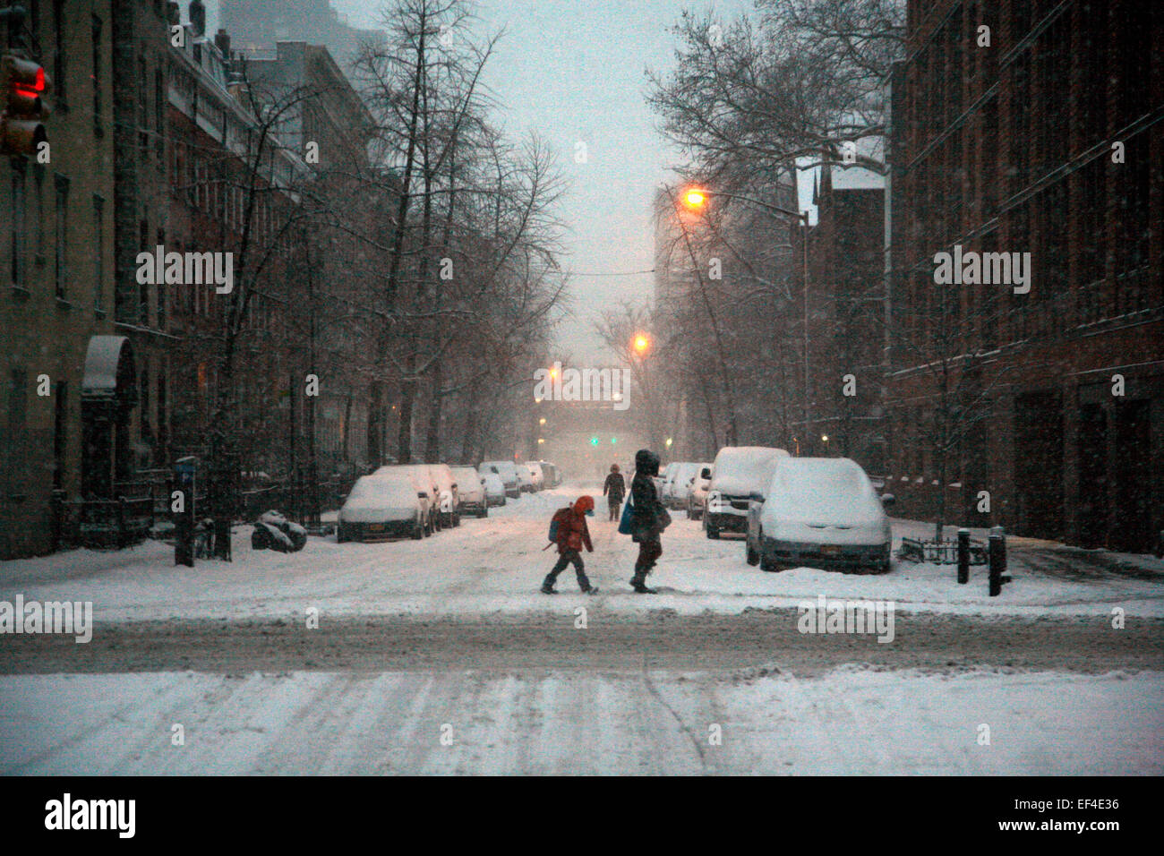 New York, USA. 26th January, 2015. Pedestrians crossing the corner of ...