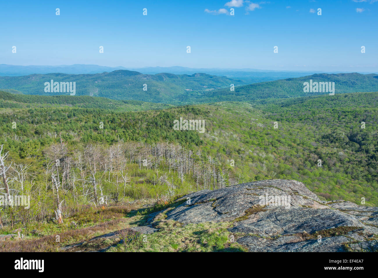 Spring time in the Adirondacks from the summit of Sleeping Beauty ...