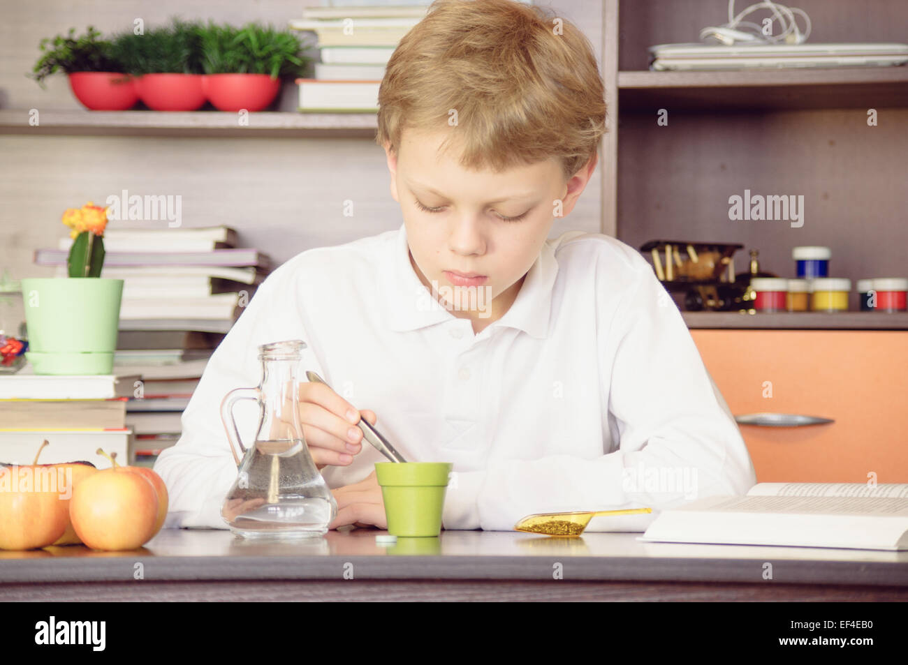 The boy is studying biology at home growing plants Stock Photo - Alamy