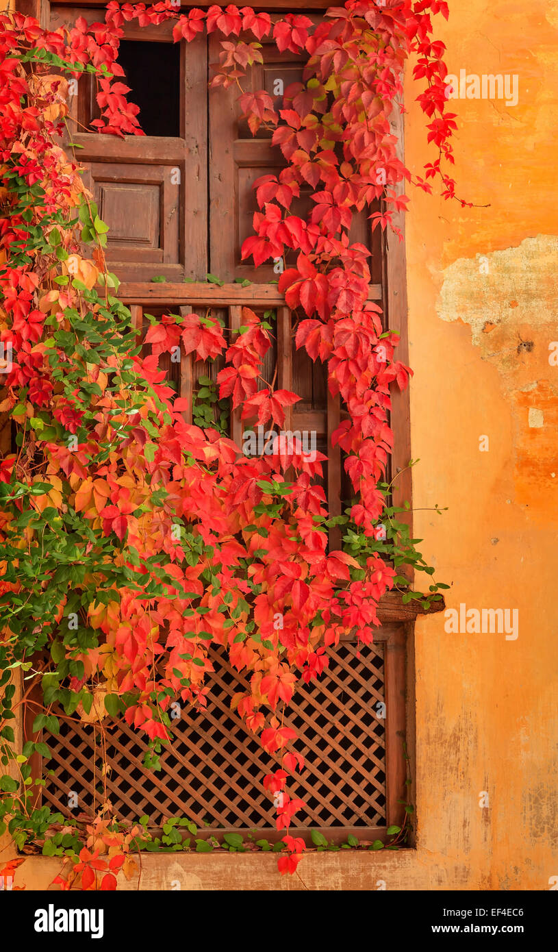 Alhambra Window Wall Fall Leaves Garden Granada Andalusia Spain Stock ...