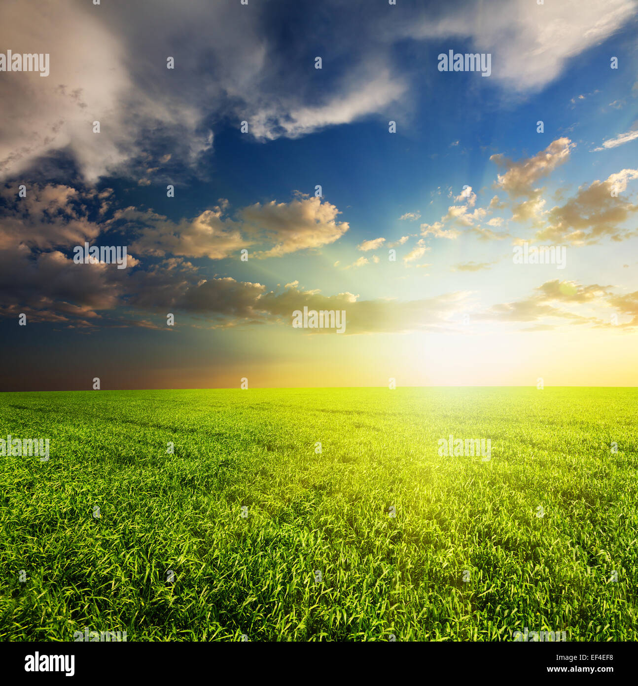 green field and beautiful sunset Stock Photo - Alamy