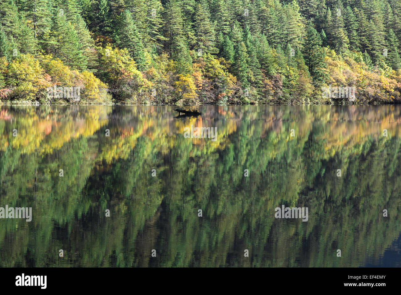 Beautiful jiuzhaigou hi-res stock photography and images - Alamy