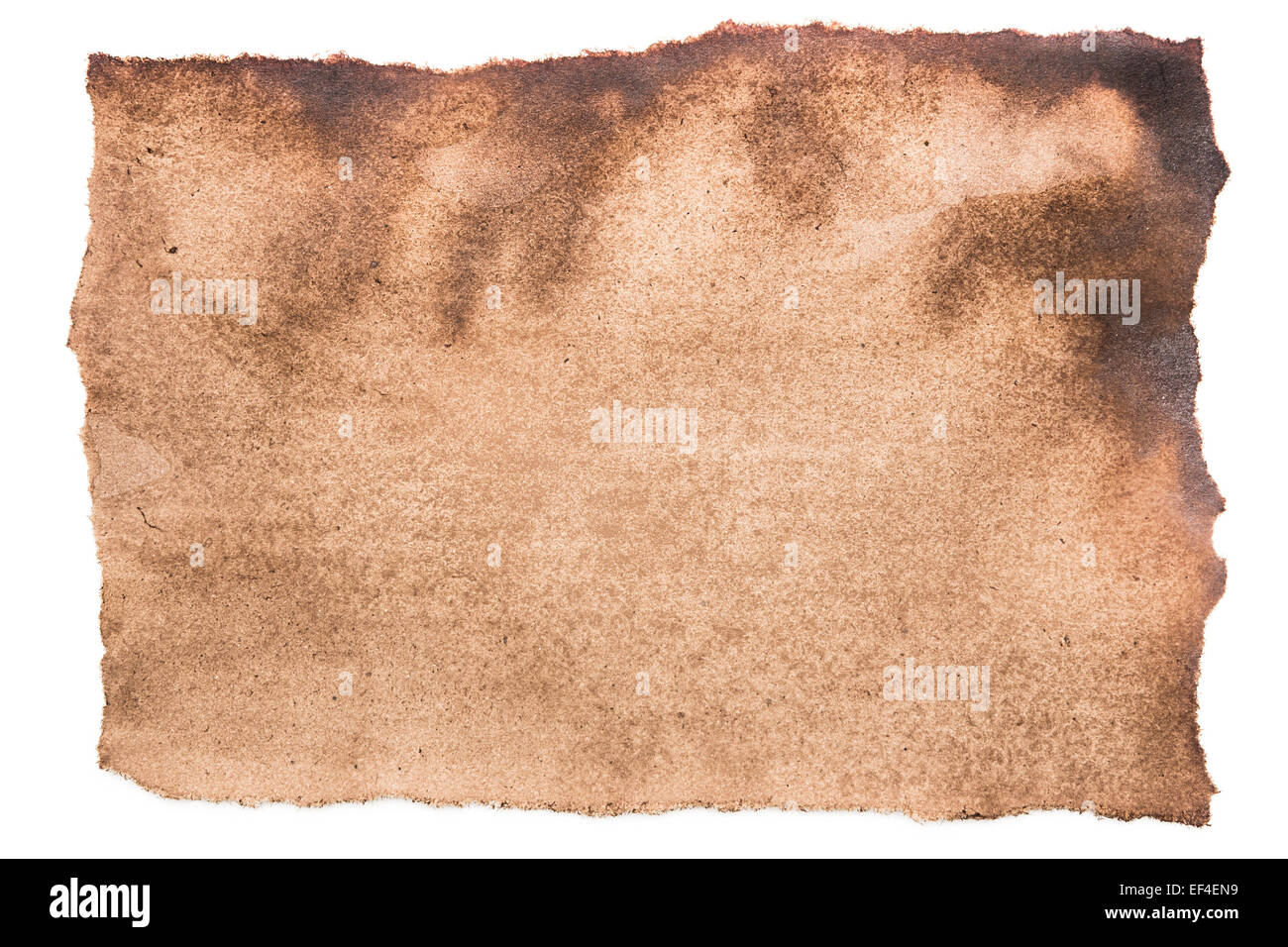 old torn paper brown texture isolated on white background Stock Photo ...