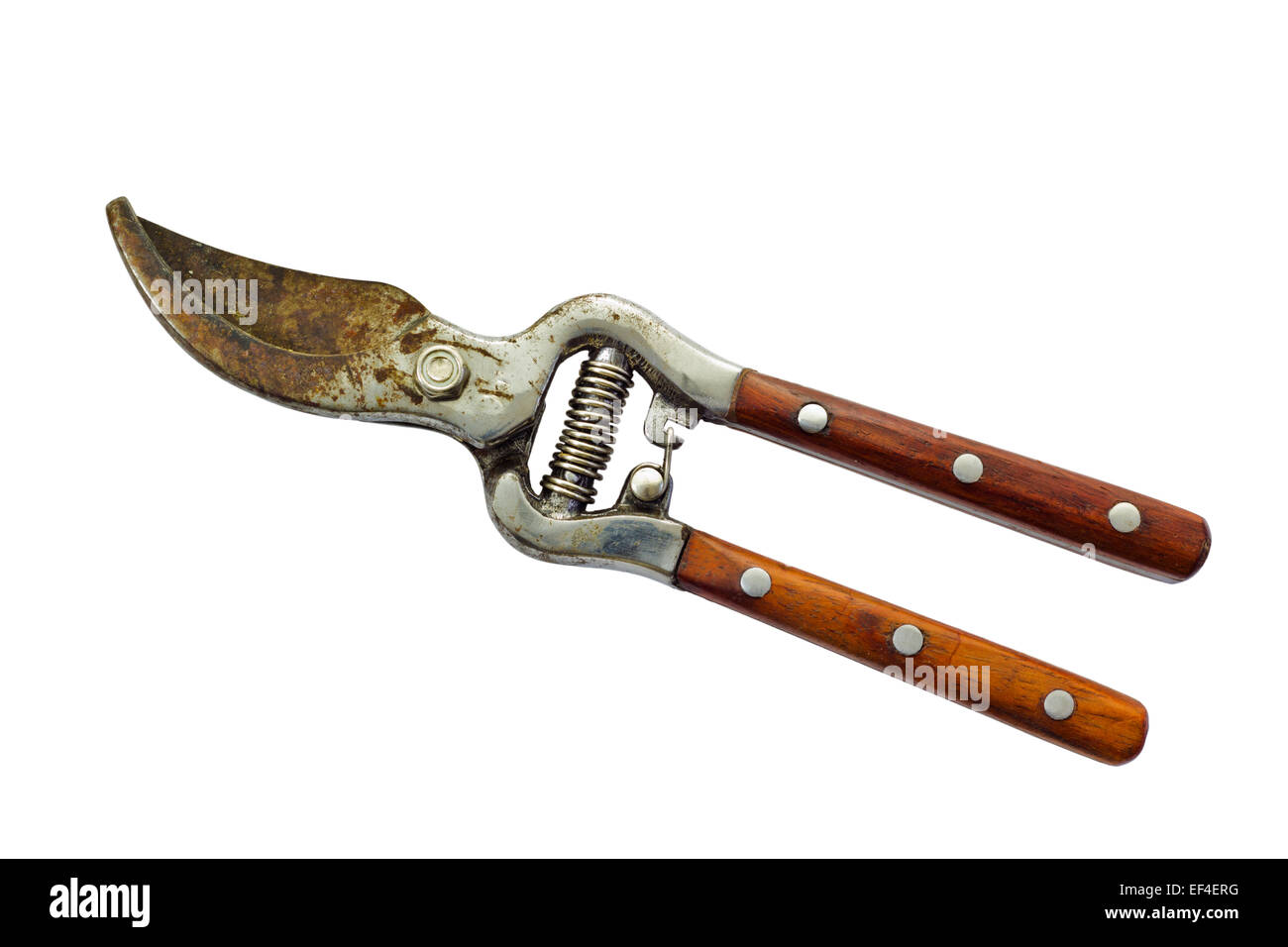 Rusty garden secateurs isolated on white background and clipping path Stock Photo - Alamy