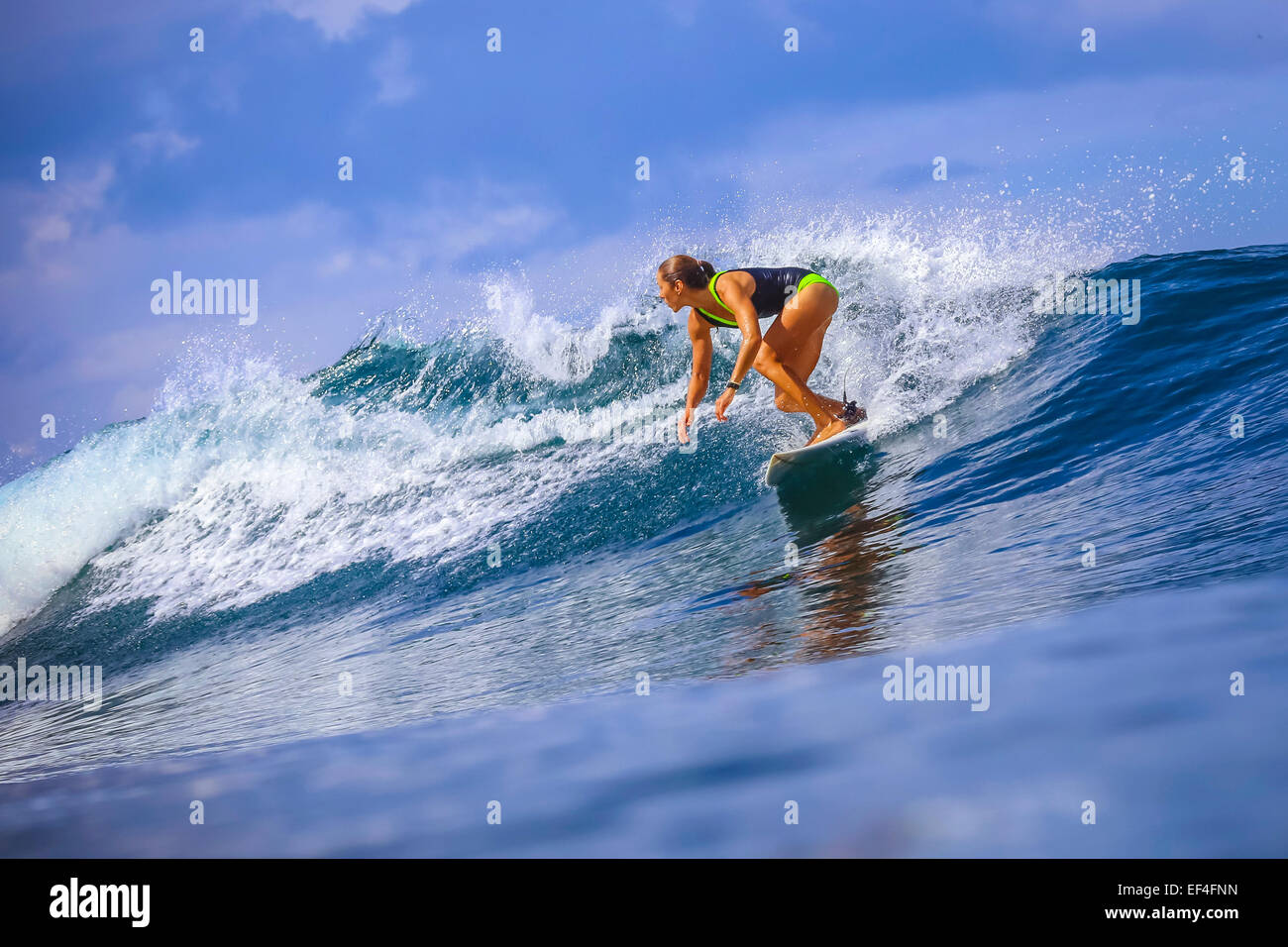 Surfer girl on Amazing Blue Wave, Bali island Stock Photo - Alamy