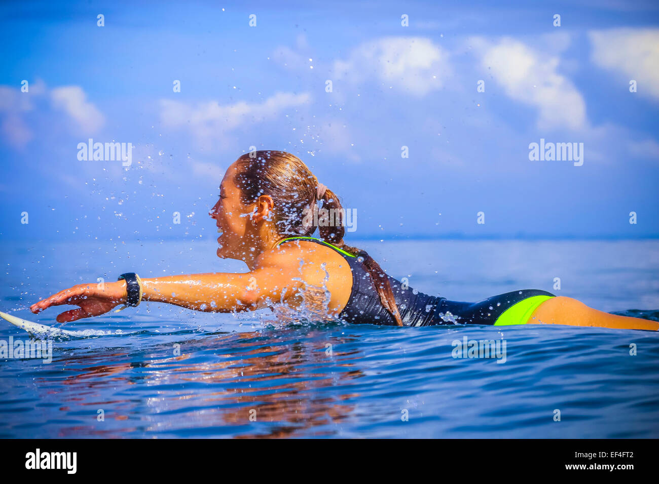 Surfer girl on Amazing Blue Wave, Bali island Stock Photo - Alamy