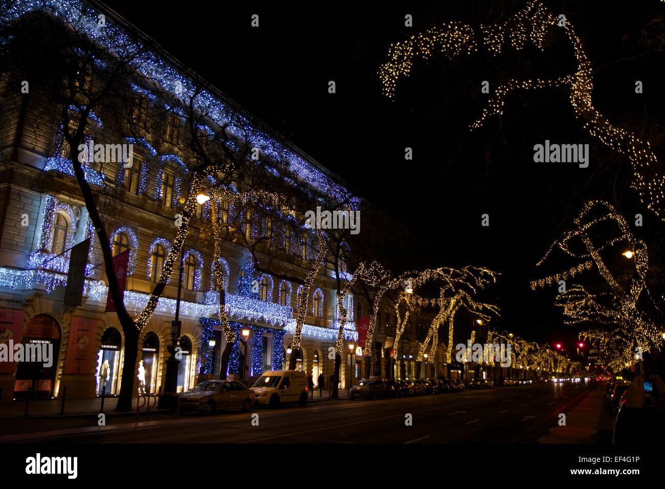 Christmas Lights on trees Andrássy útca, Budapest, hungary Stock Photo ...