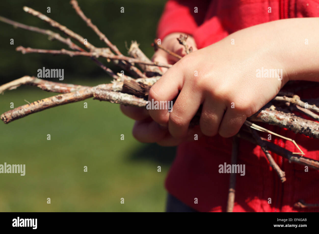 child holding wooden sticks close up Stock Photo - Alamy