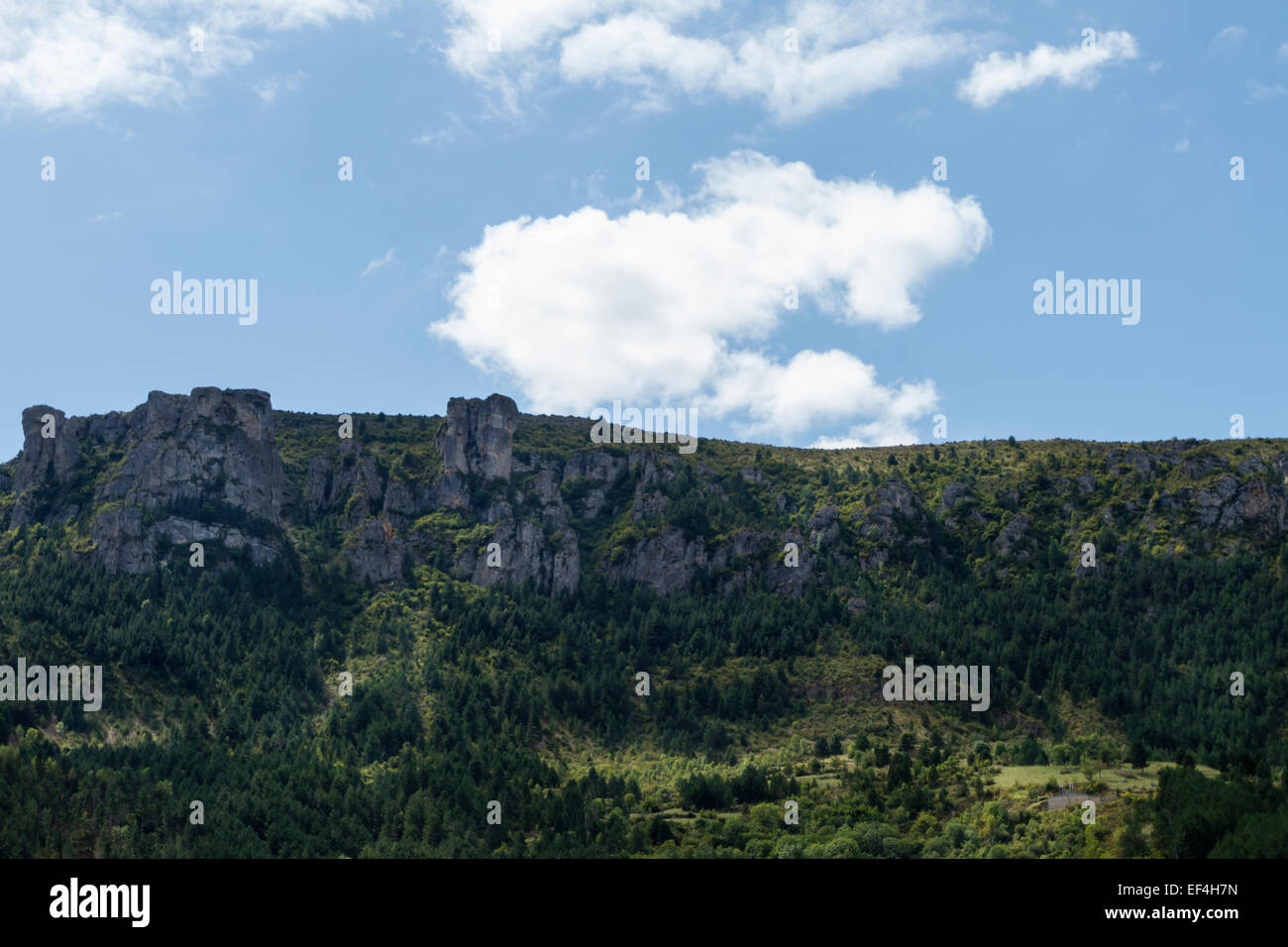 national park of cevennes unesco mountain tree florac Stock Photo - Alamy