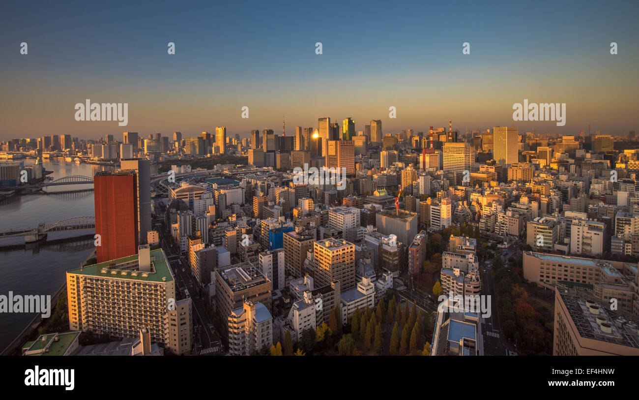 Tokyo aerial panoramic view Stock Photo - Alamy