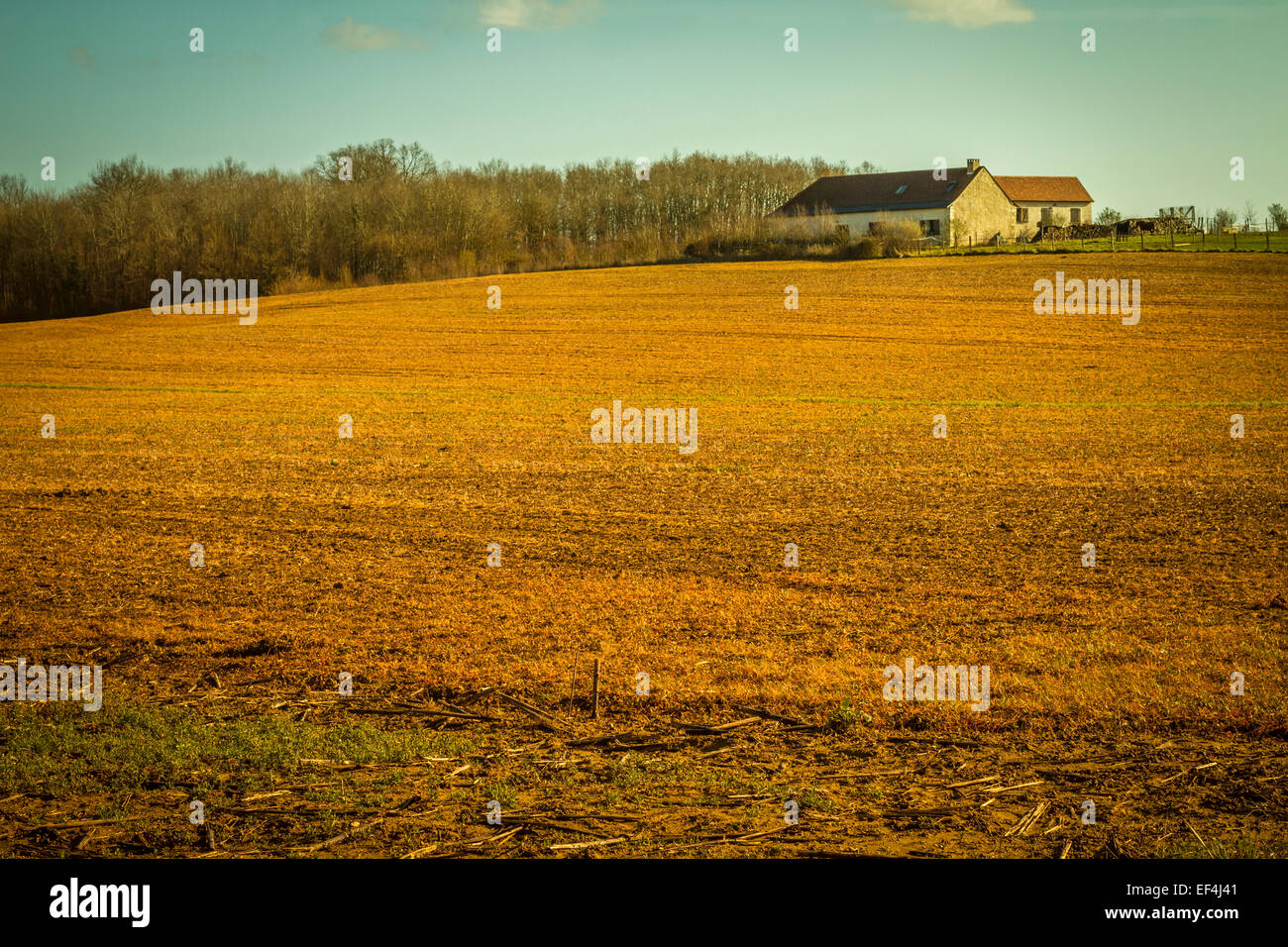 Crops days farms fields hi-res stock photography and images - Alamy