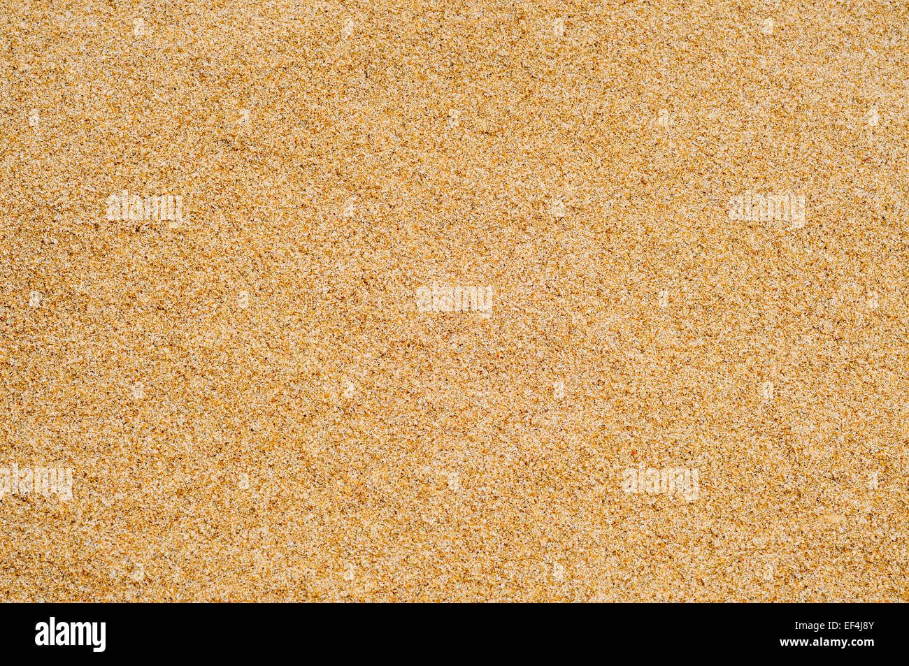 Closeup pile sand beach desert hi-res stock photography and images - Alamy
