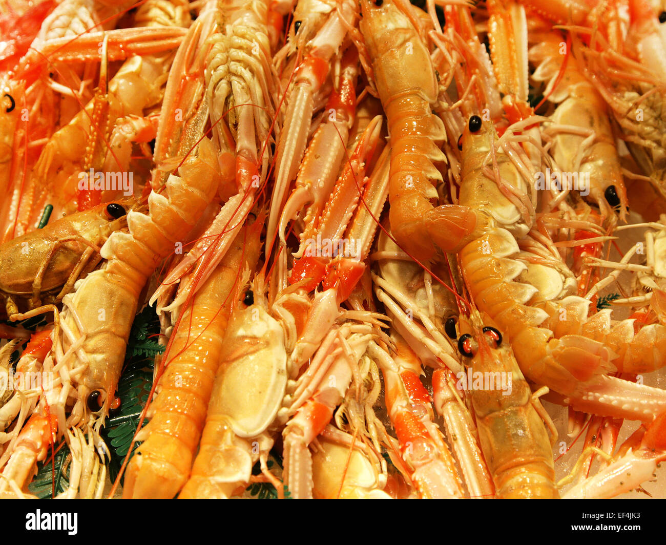 Big prawns hi-res stock photography and images - Alamy