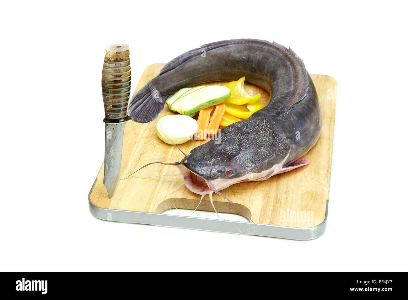 Catfish and fishing Cut Out Stock Images & Pictures - Alamy