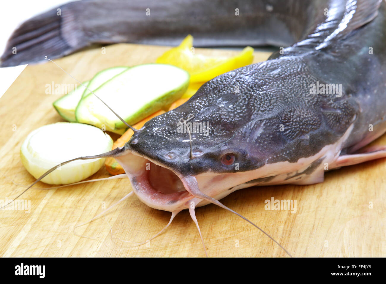 fresh catfish with moustache on board with vegetables Stock Photo - Alamy