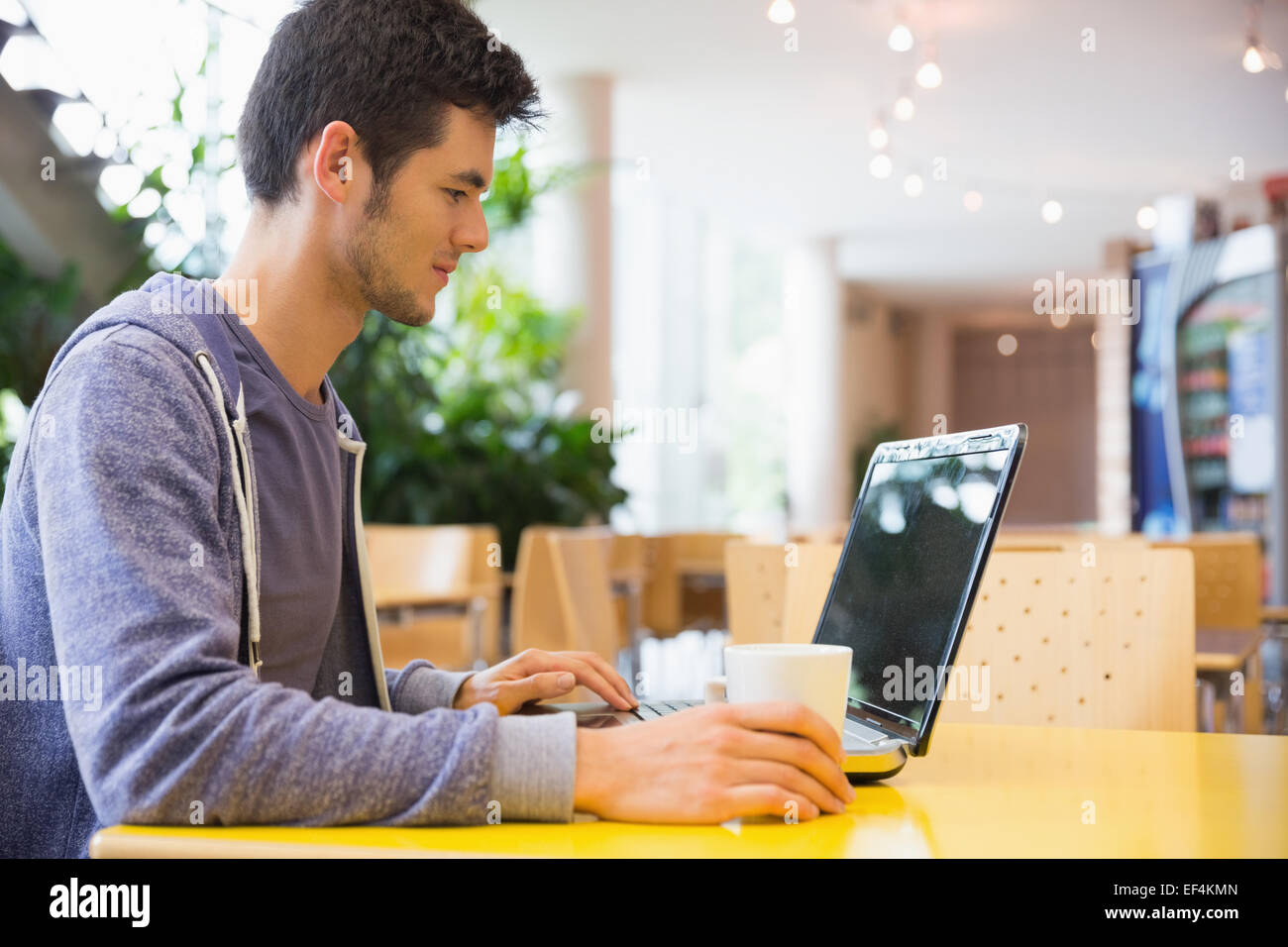 Young student using his laptop in cafe Stock Photo - Alamy