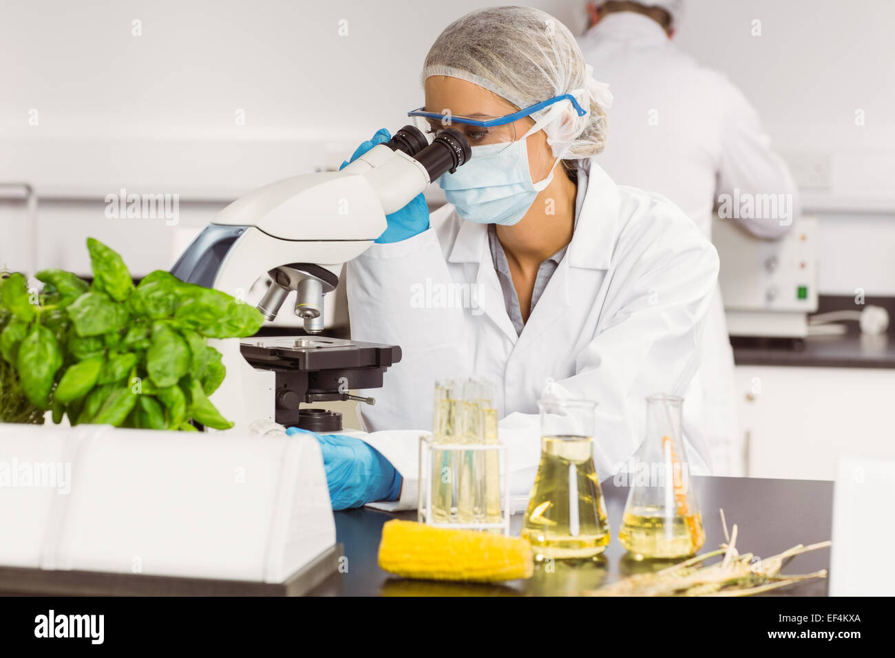 Food scientist using the microscope Stock Photo - Alamy