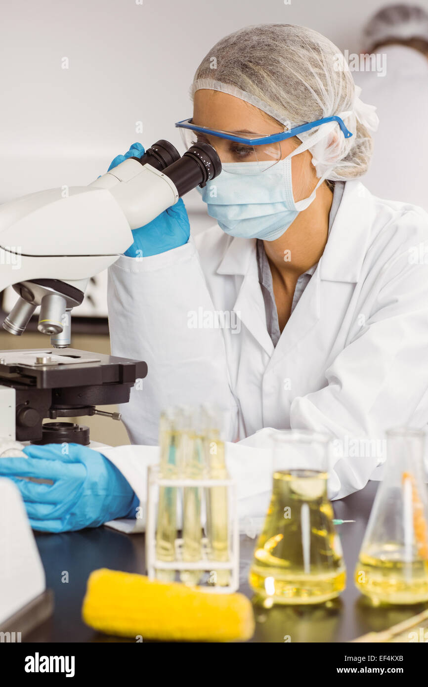 Food scientist using the microscope Stock Photo - Alamy