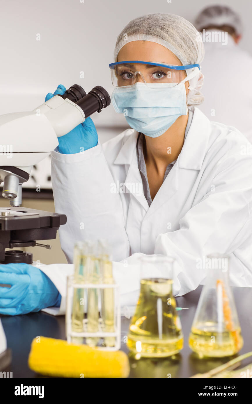 Food scientist using the microscope Stock Photo - Alamy