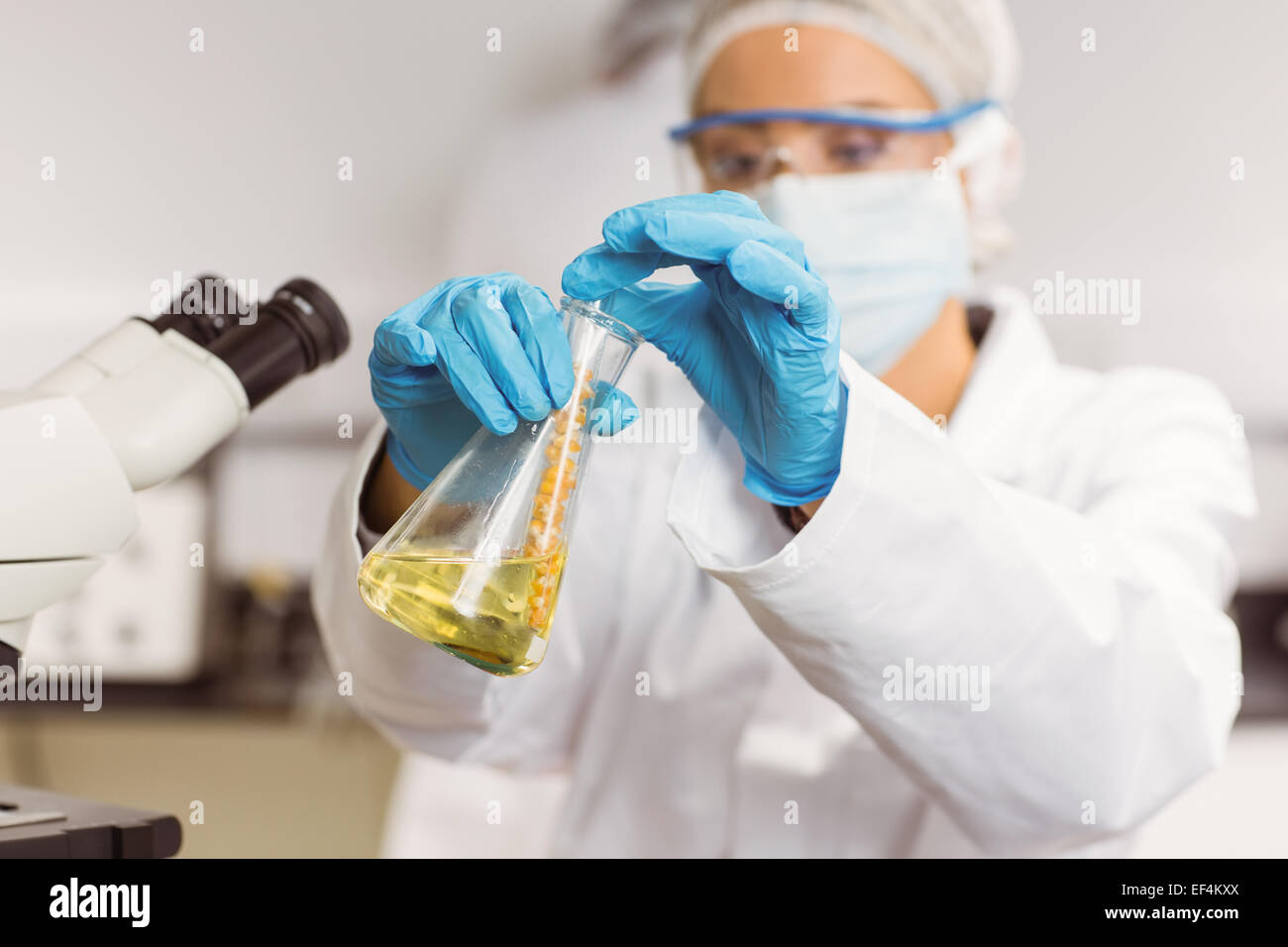 Food scientist doing an experiment with corn Stock Photo - Alamy