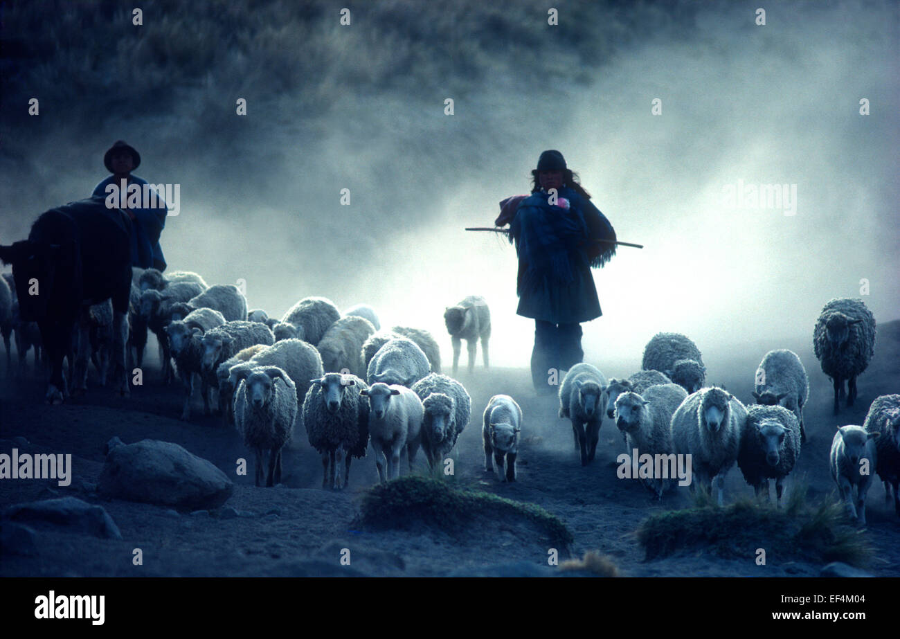 Peasants and shepherds hi-res stock photography and images - Alamy