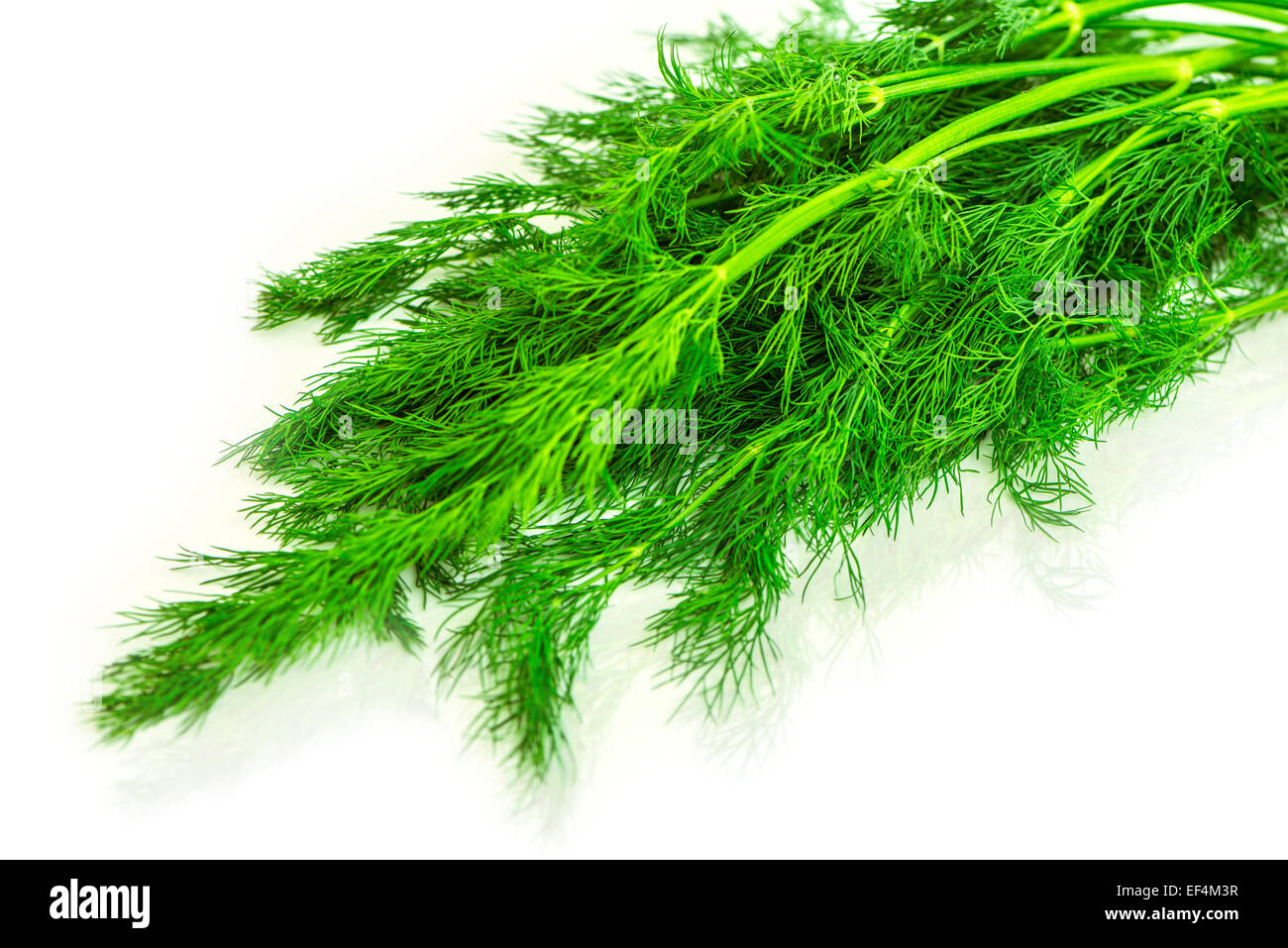 Foods plant hi-res stock photography and images - Alamy