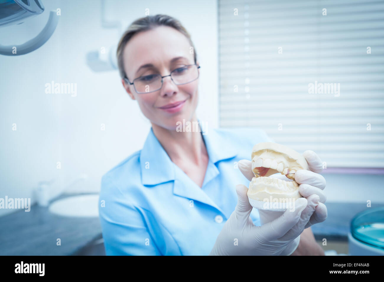 Dentist looking at mouth model Stock Photo - Alamy