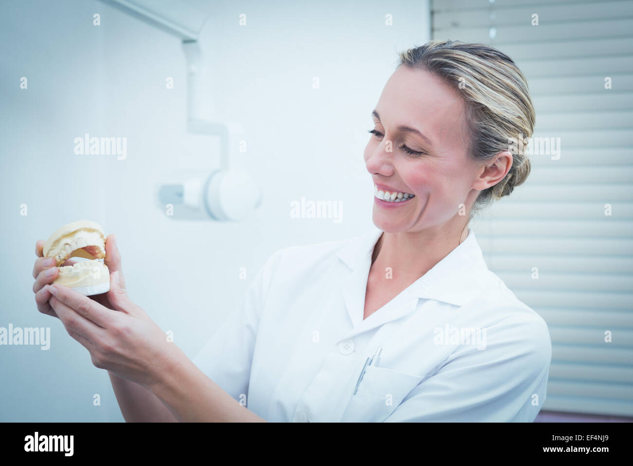 Teeth model hi-res stock photography and images - Alamy