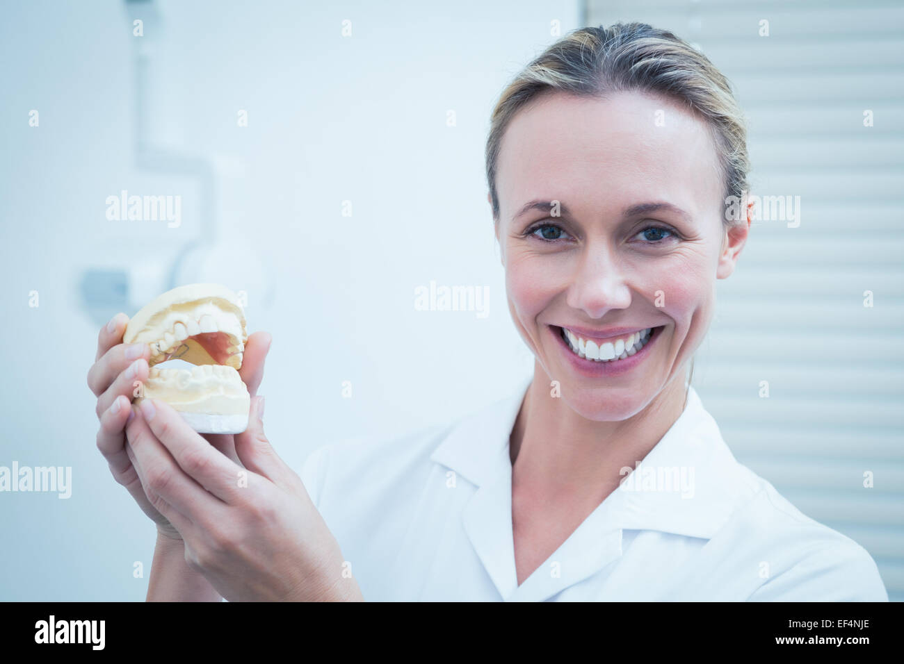 Smiling female dentist holding mouth model Stock Photo - Alamy
