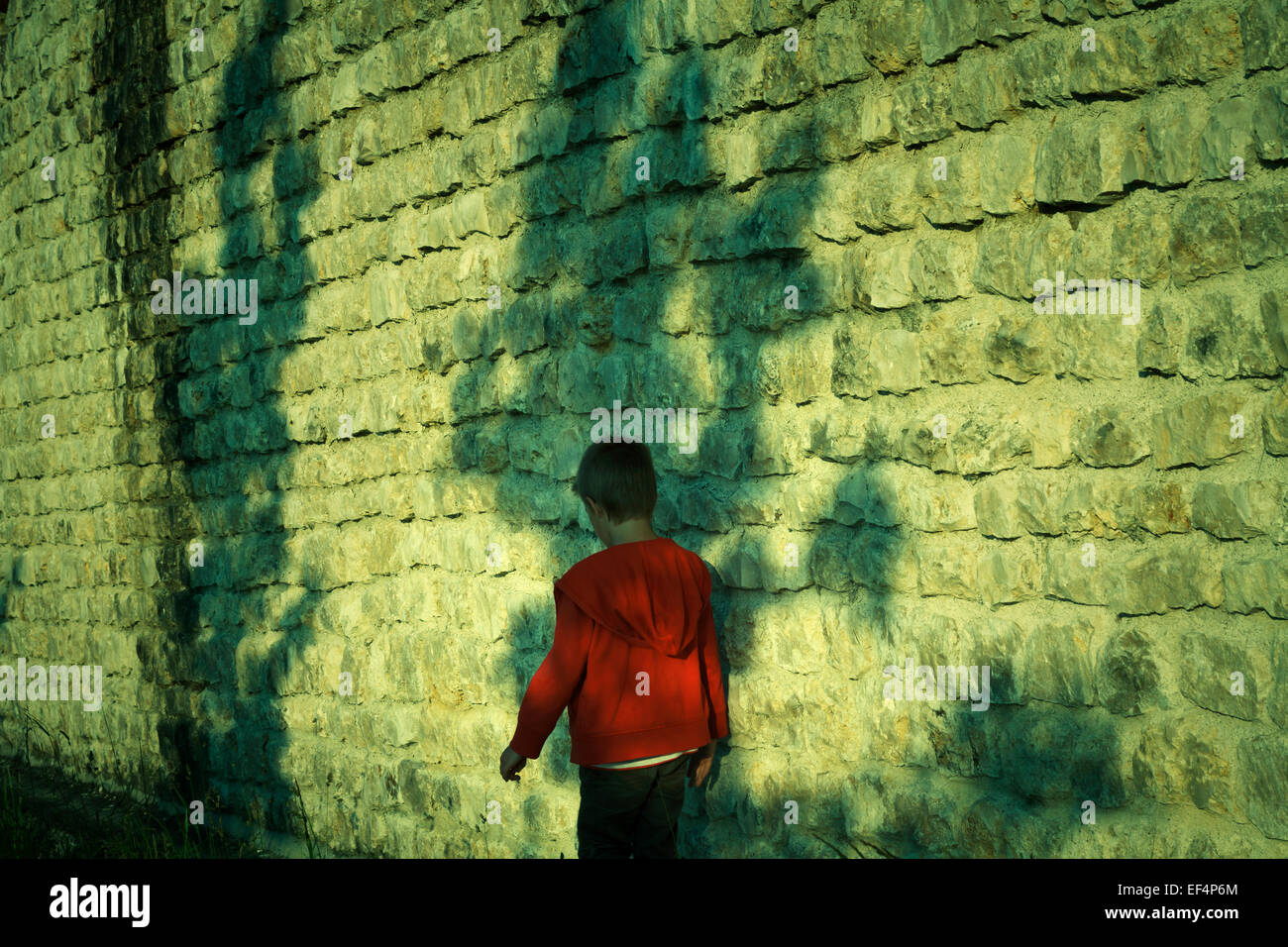 child boy (8 years old) walking, rear view Stock Photo - Alamy