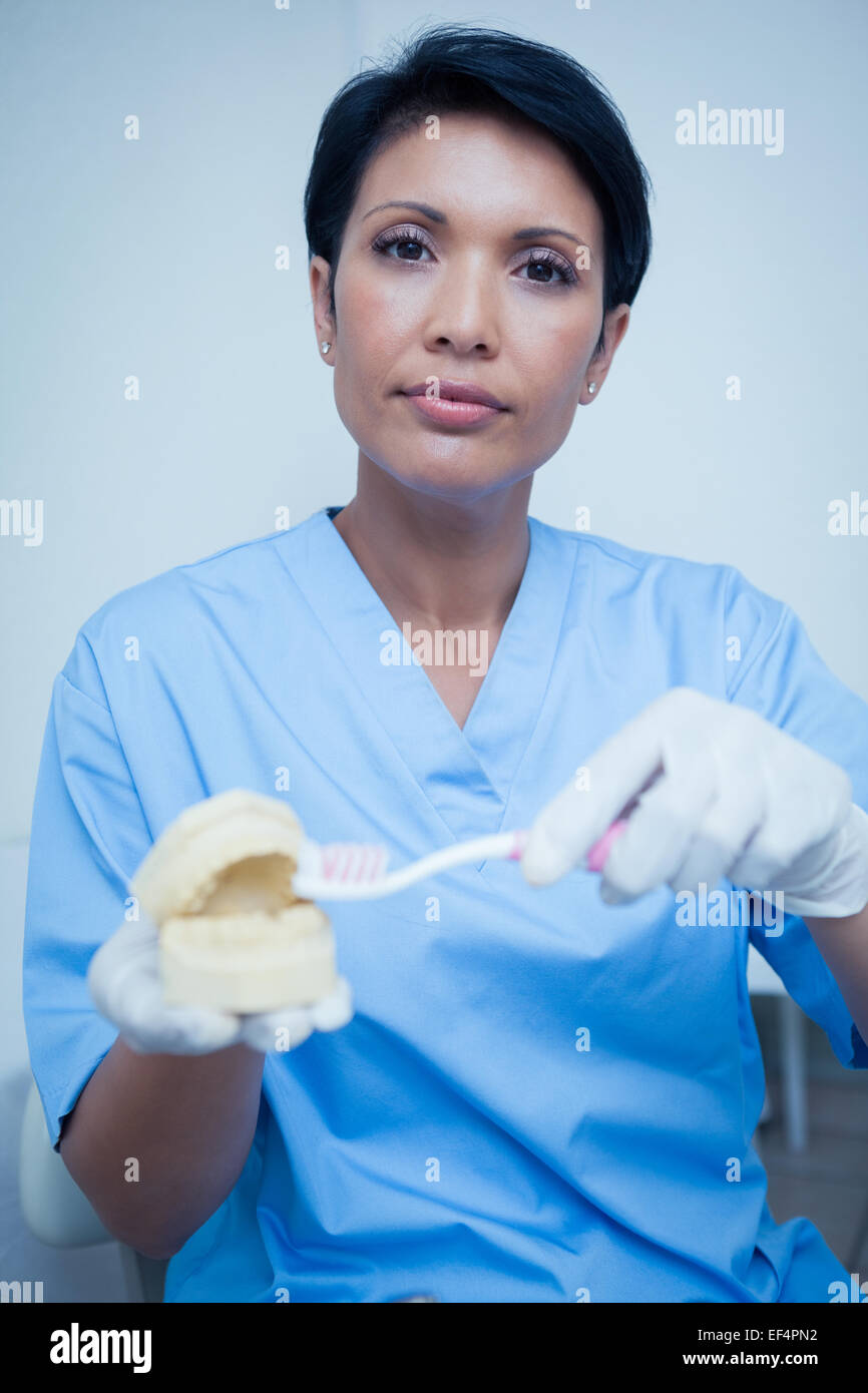 Dentist holding mouth model and toothbrush Stock Photo - Alamy