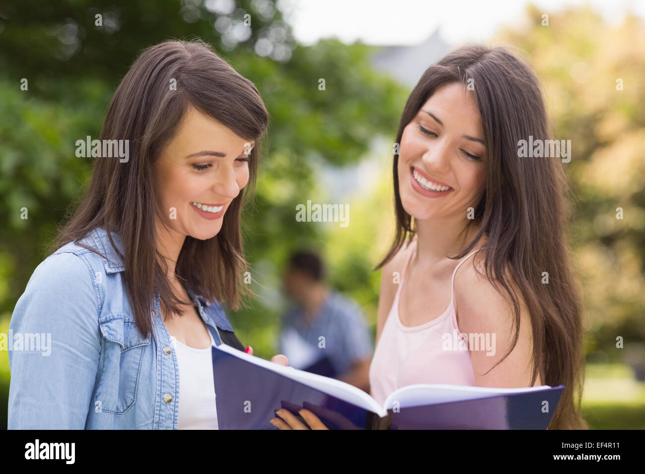 Student students reading hi-res stock photography and images - Alamy