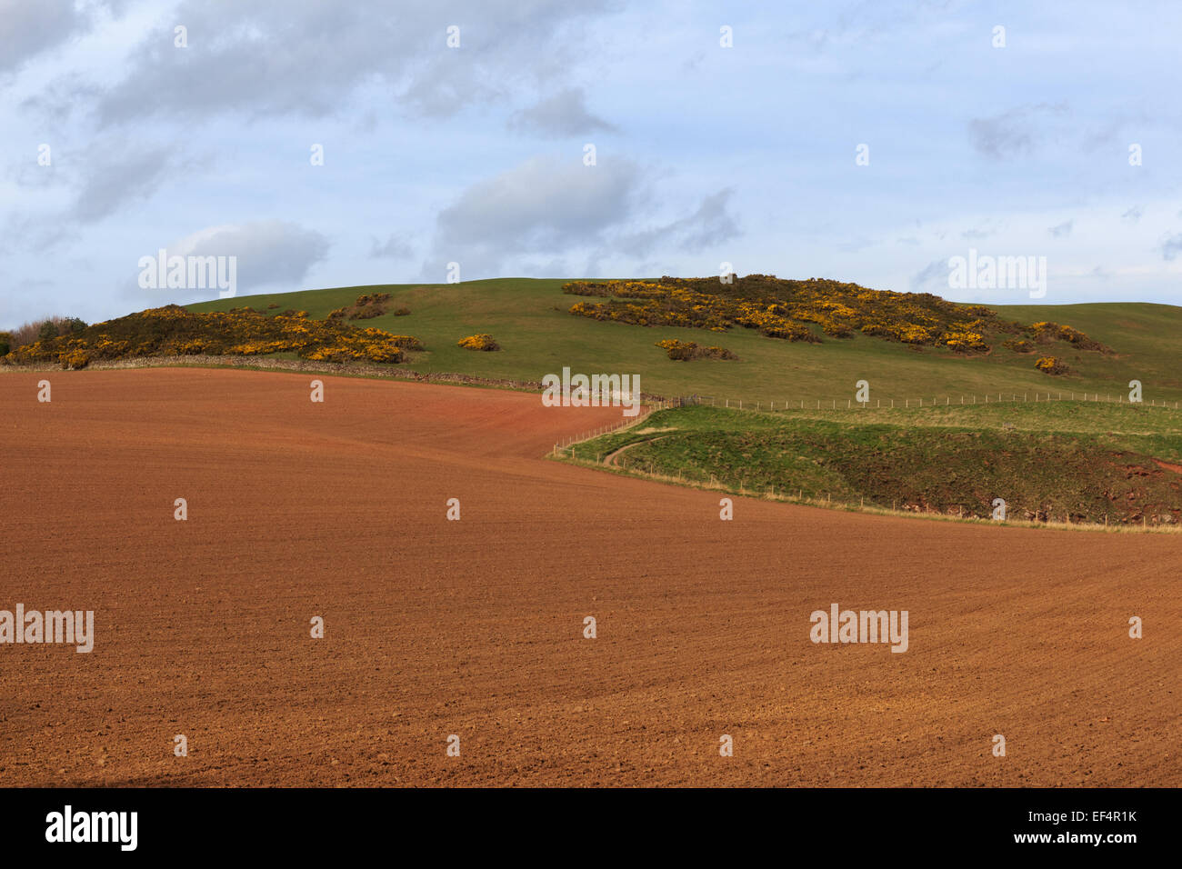 Scottish countryside in spring Stock Photo - Alamy