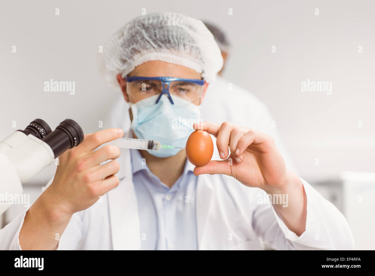 Food scientist injecting an egg Stock Photo - Alamy