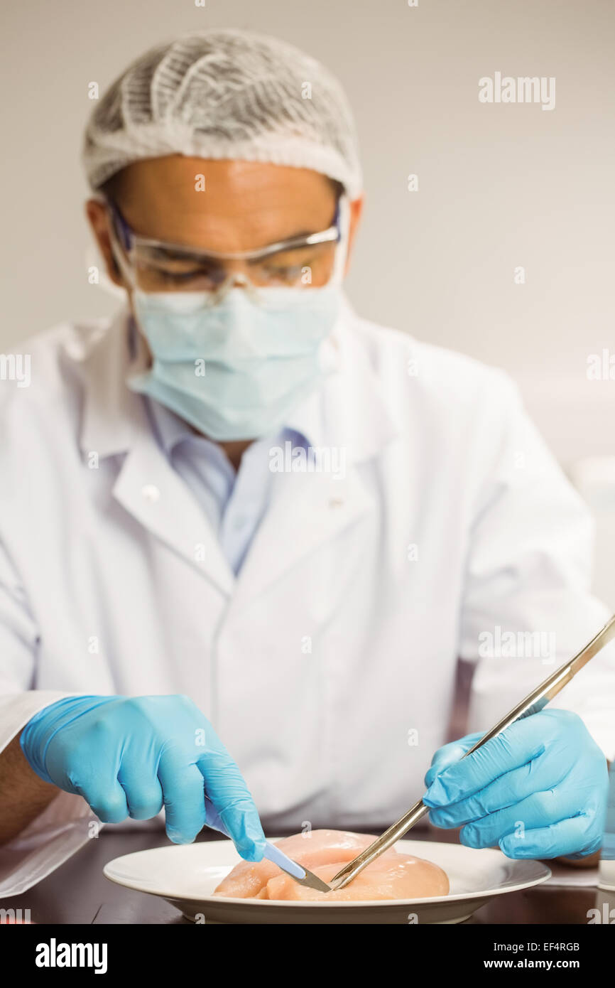 Dissecting hi-res stock photography and images - Alamy