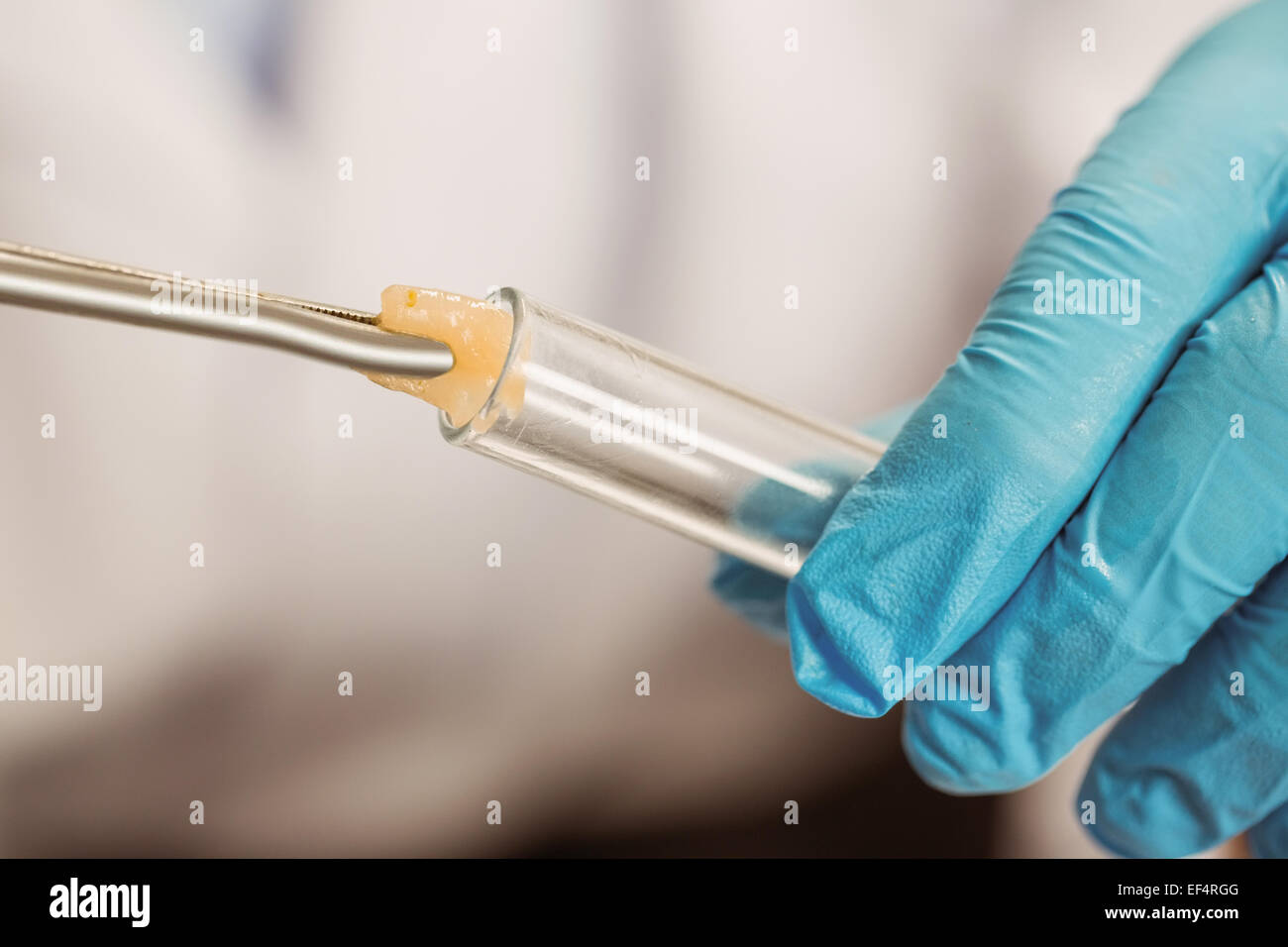 Putting in tube hi-res stock photography and images - Alamy