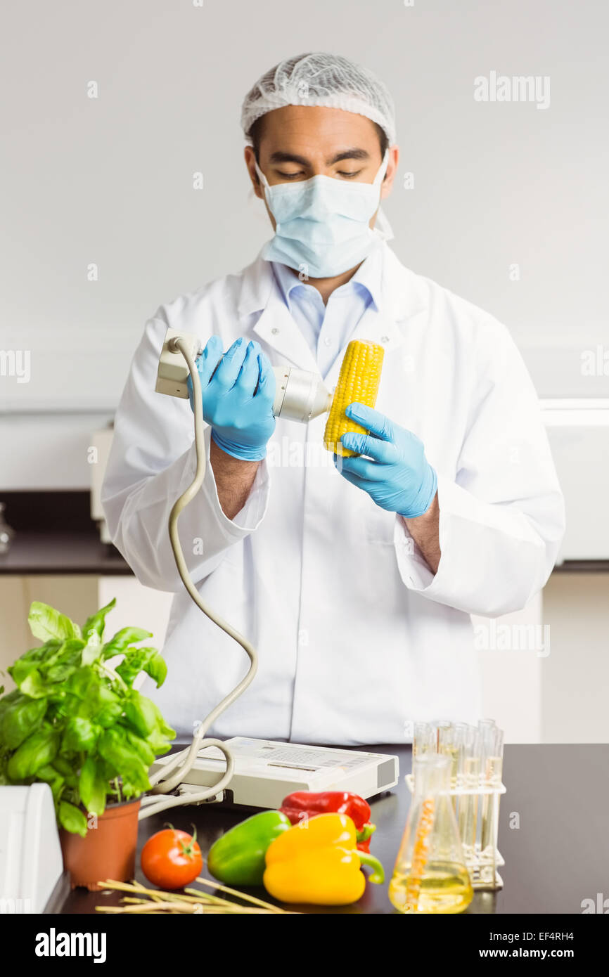 Male corn on the cob hi-res stock photography and images - Alamy