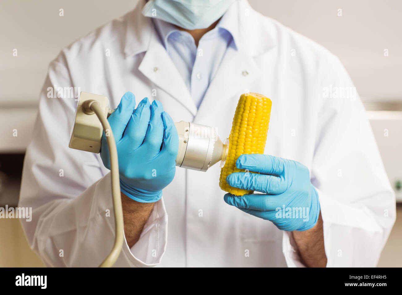 Food scientist using device on corn cob Stock Photo - Alamy