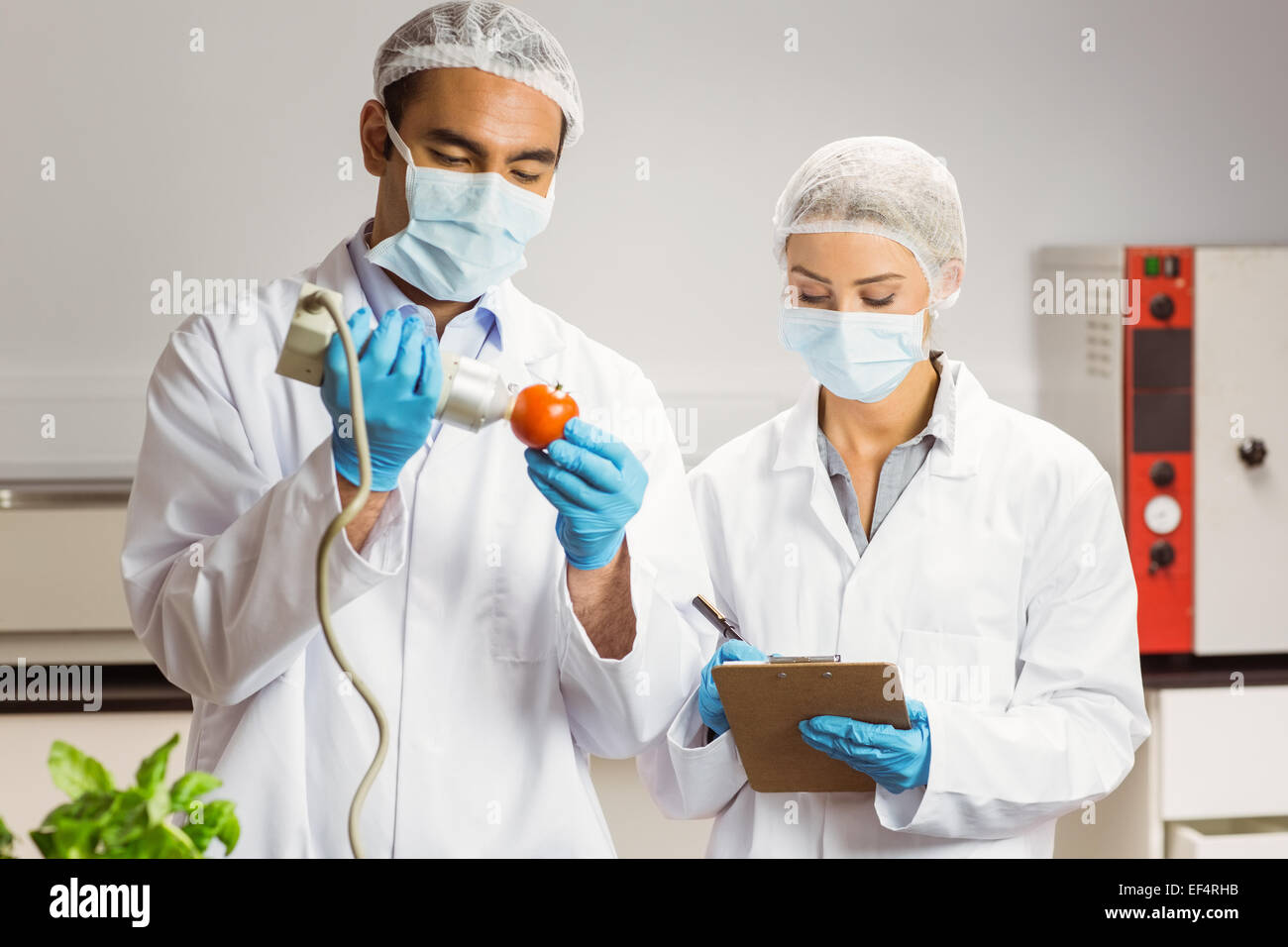 Food scientist using device on pepper Stock Photo - Alamy