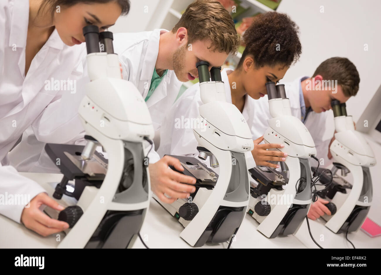 Medical students working with microscope Stock Photo - Alamy