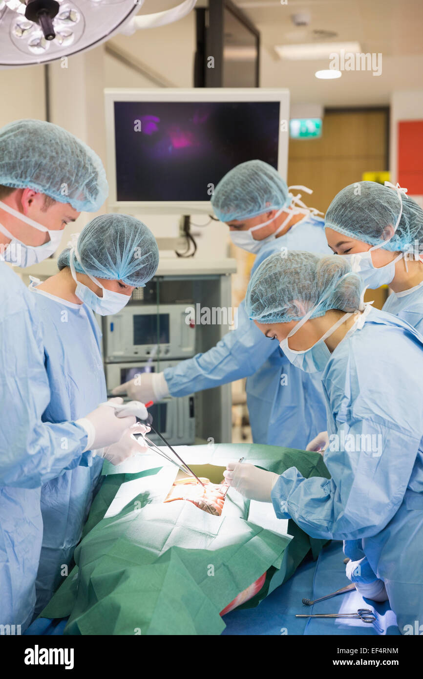 Medical students practicing surgery on model Stock Photo - Alamy