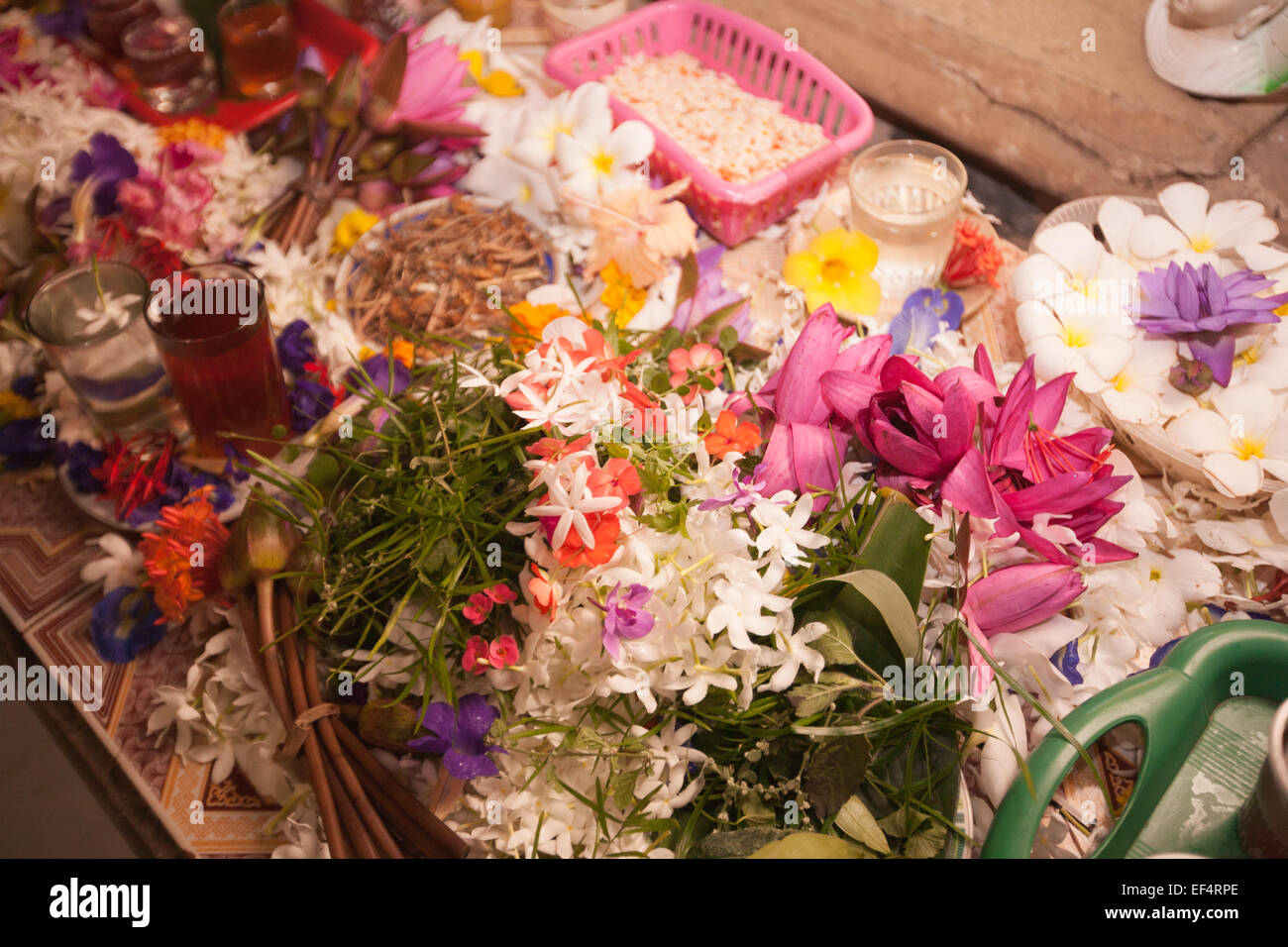 Flower offerings,bright colours,worship,pink, at Buddhist temple in ...