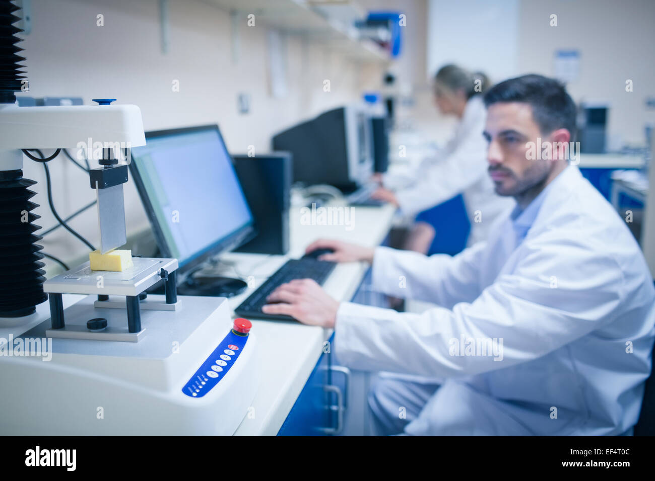 Food scientist using technology to analyse cheese Stock Photo - Alamy
