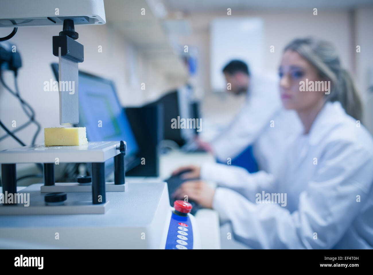 Food scientist using technology to analyse cheese Stock Photo - Alamy