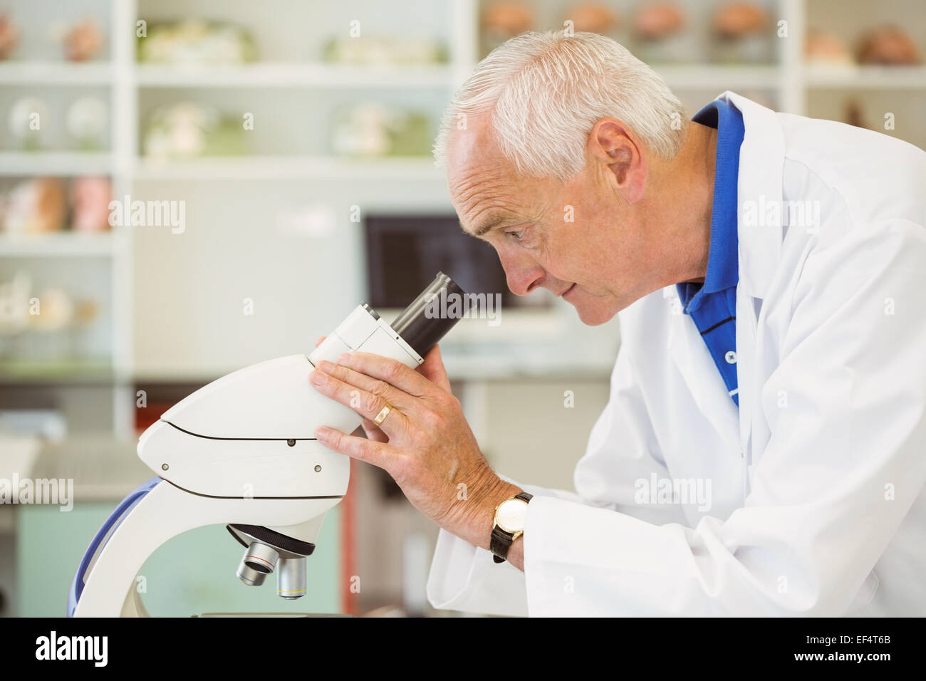 Senior scientist looking through microscope Stock Photo - Alamy