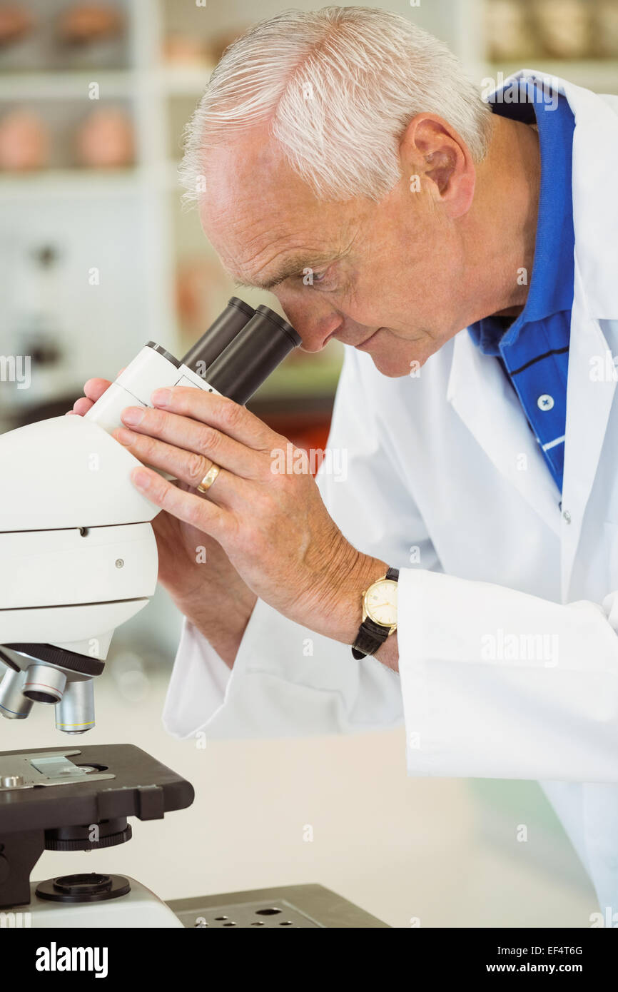 Senior scientist working with microscope Stock Photo - Alamy
