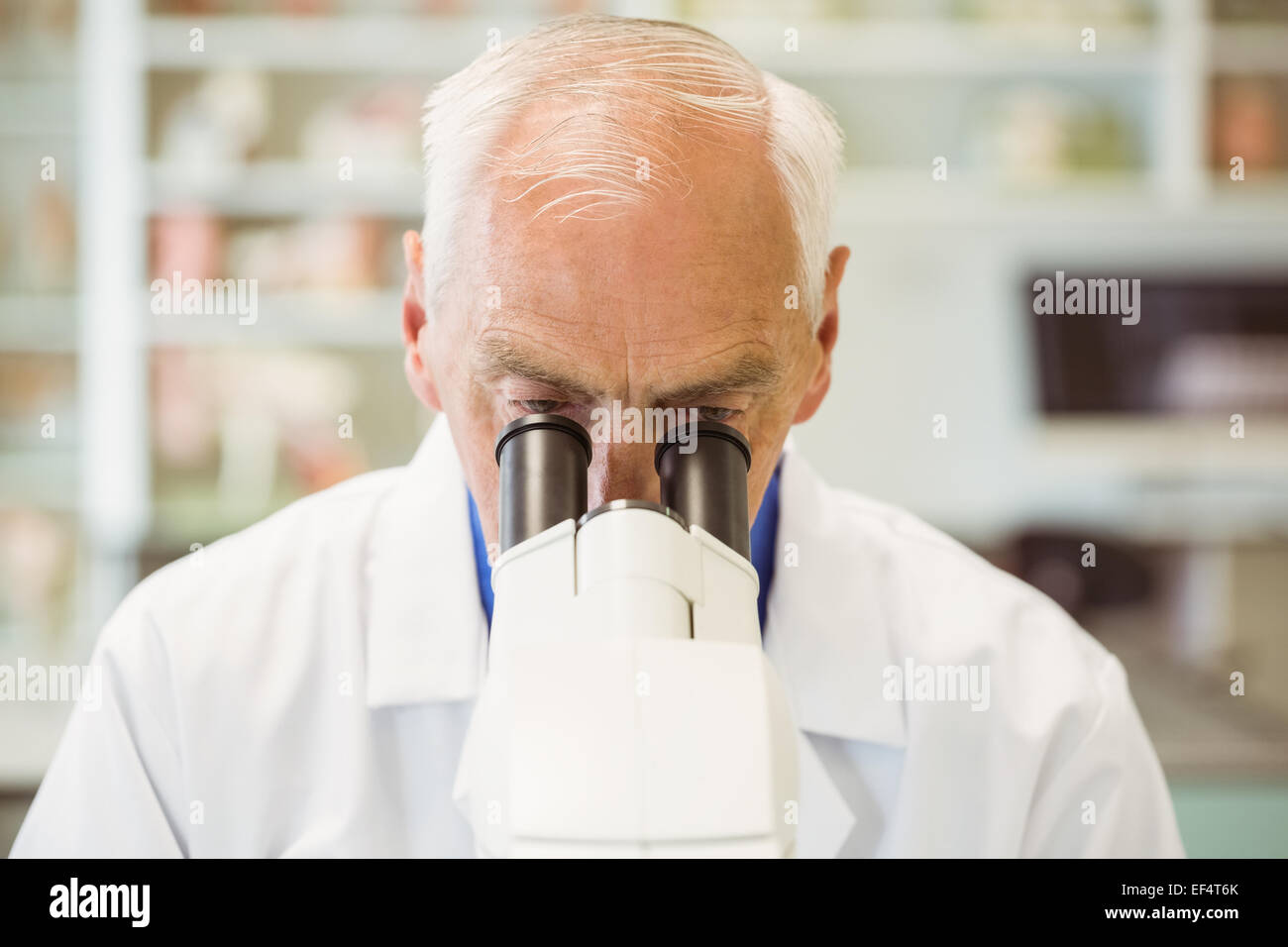 Senior scientist working with microscope Stock Photo - Alamy